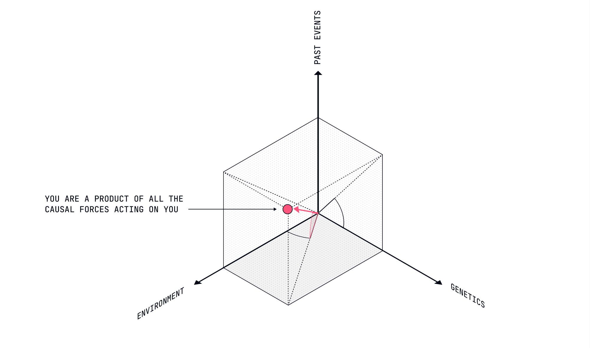 Mapping the Causal Factors - Compass